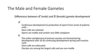 Physiology of the Reproductive System I.pptx