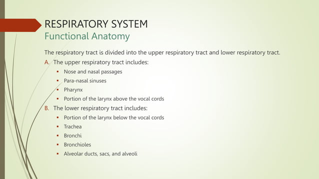 PHYSIOLOGY OF THE RESP. SYSTEM 2023.pptx