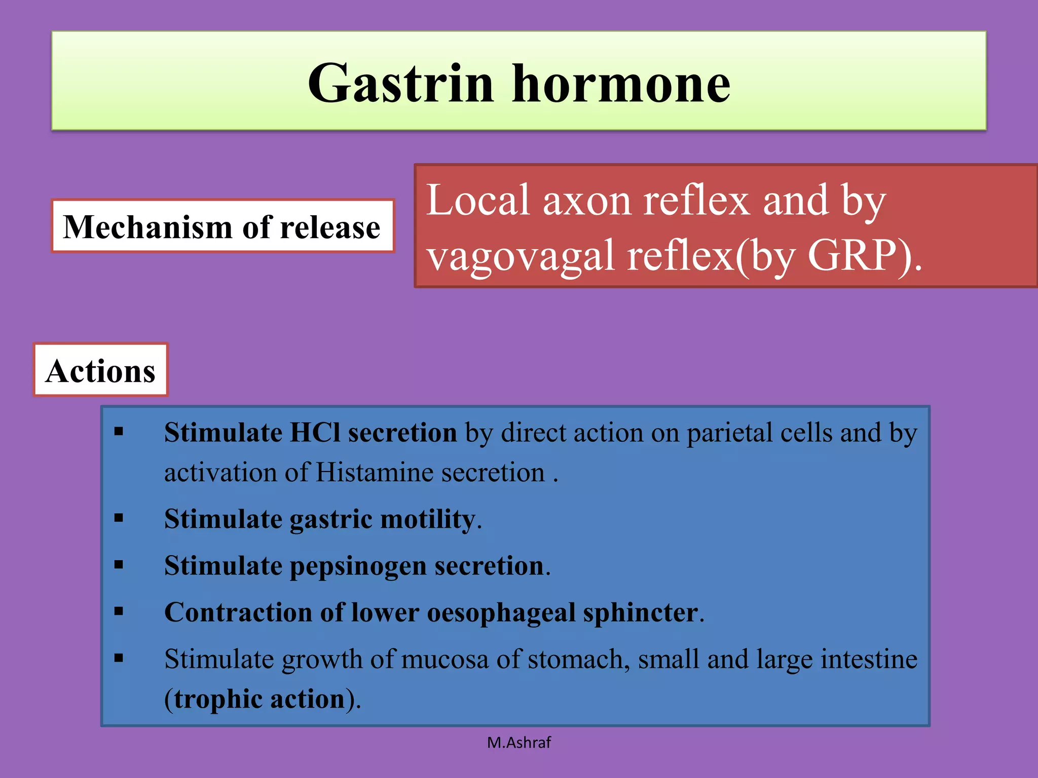 Physiology of the stomach | PDF