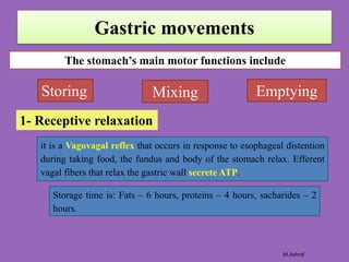 Physiology of the stomach | PDF