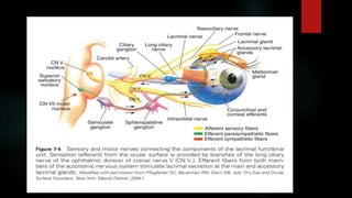 PHYSIOLOGY OF THE TEAR FILM.pdf