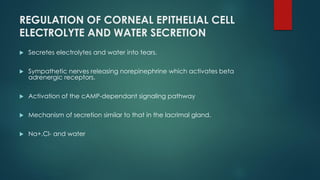 PHYSIOLOGY OF THE TEAR FILM.pdf