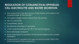 PHYSIOLOGY OF THE TEAR FILM.pdf