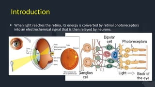 Physiology of the visual pathway & cerebral integration | PPTX