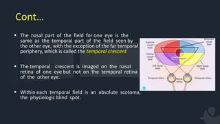 Physiology of the visual pathway & cerebral integration | PPTX
