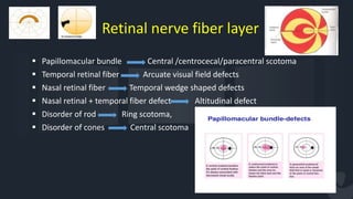 Physiology of the visual pathway & cerebral integration | PPTX