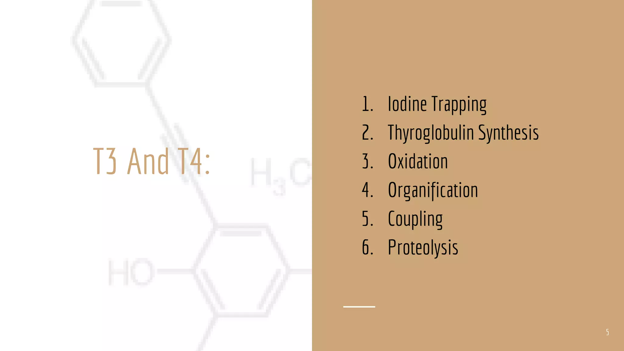 Physiology of thyroid | PPTX