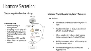 Physiology of thyroid | PPTX