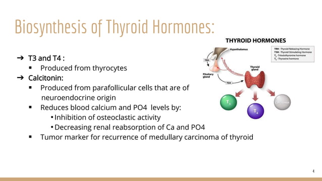 Physiology of thyroid | PPTX