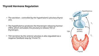 PHYSIOLOGY OF THYROID Hormones synthesis and regulation | PPTX