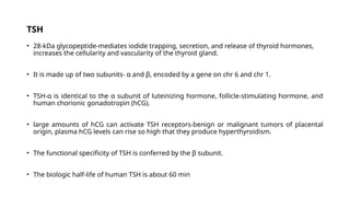 PHYSIOLOGY OF THYROID Hormones synthesis and regulation | PPT