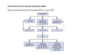 PHYSIOLOGY OF THYROID Hormones synthesis and regulation | PPT