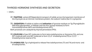 PHYSIOLOGY OF THYROID Hormones synthesis and regulation | PPT