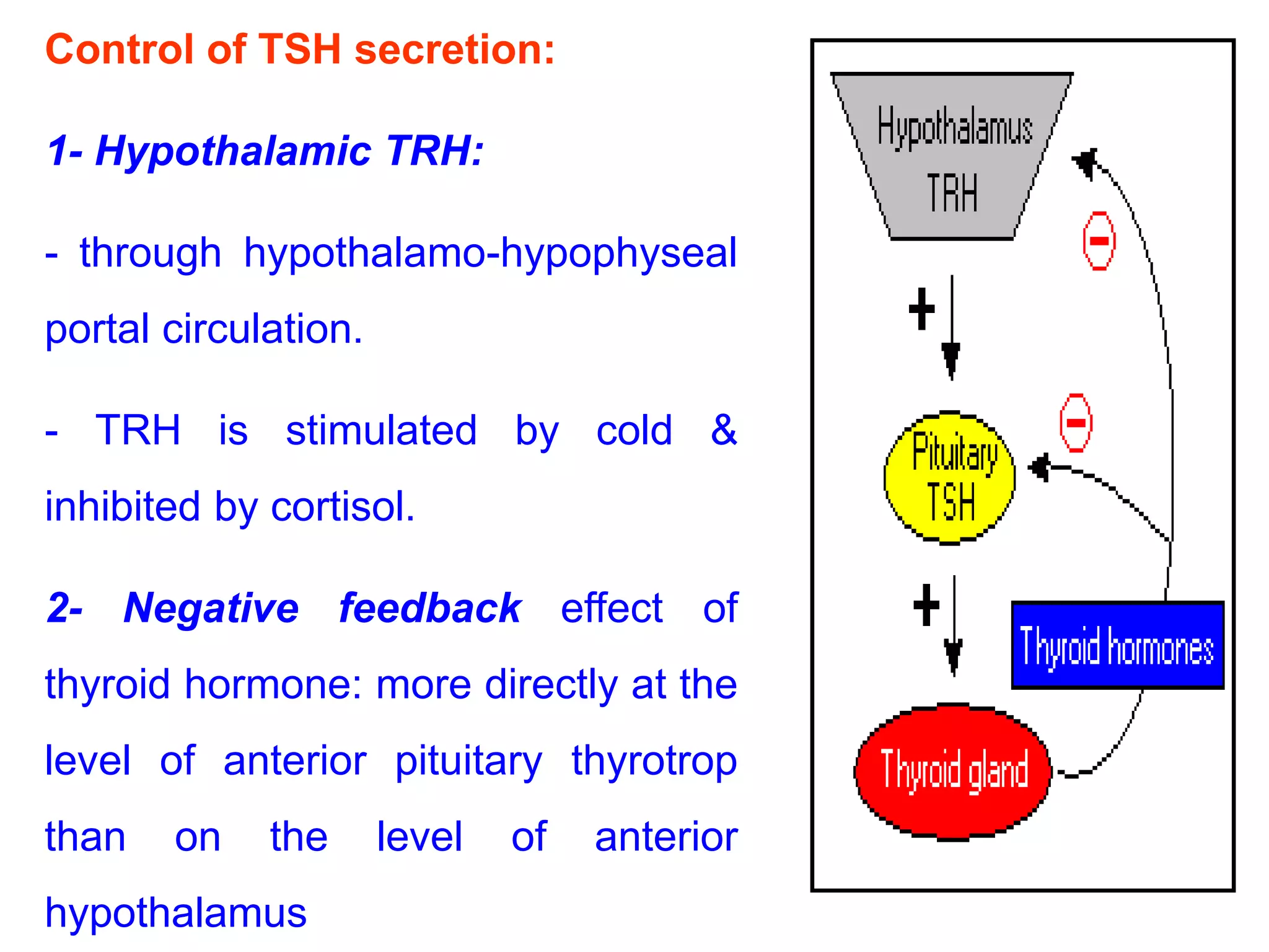 Physiology of thyroid hormones | PPT