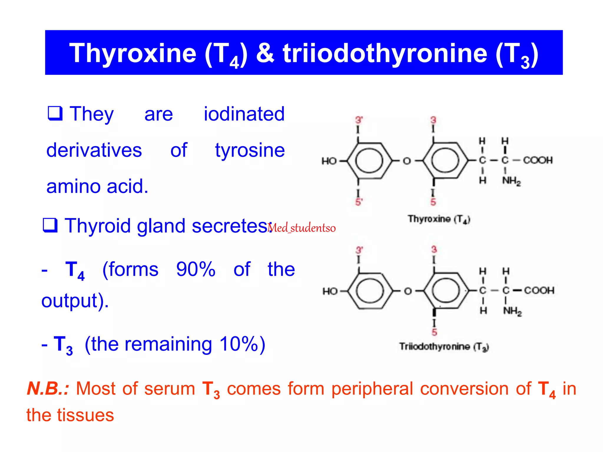 Physiology of thyroid hormones | PPT
