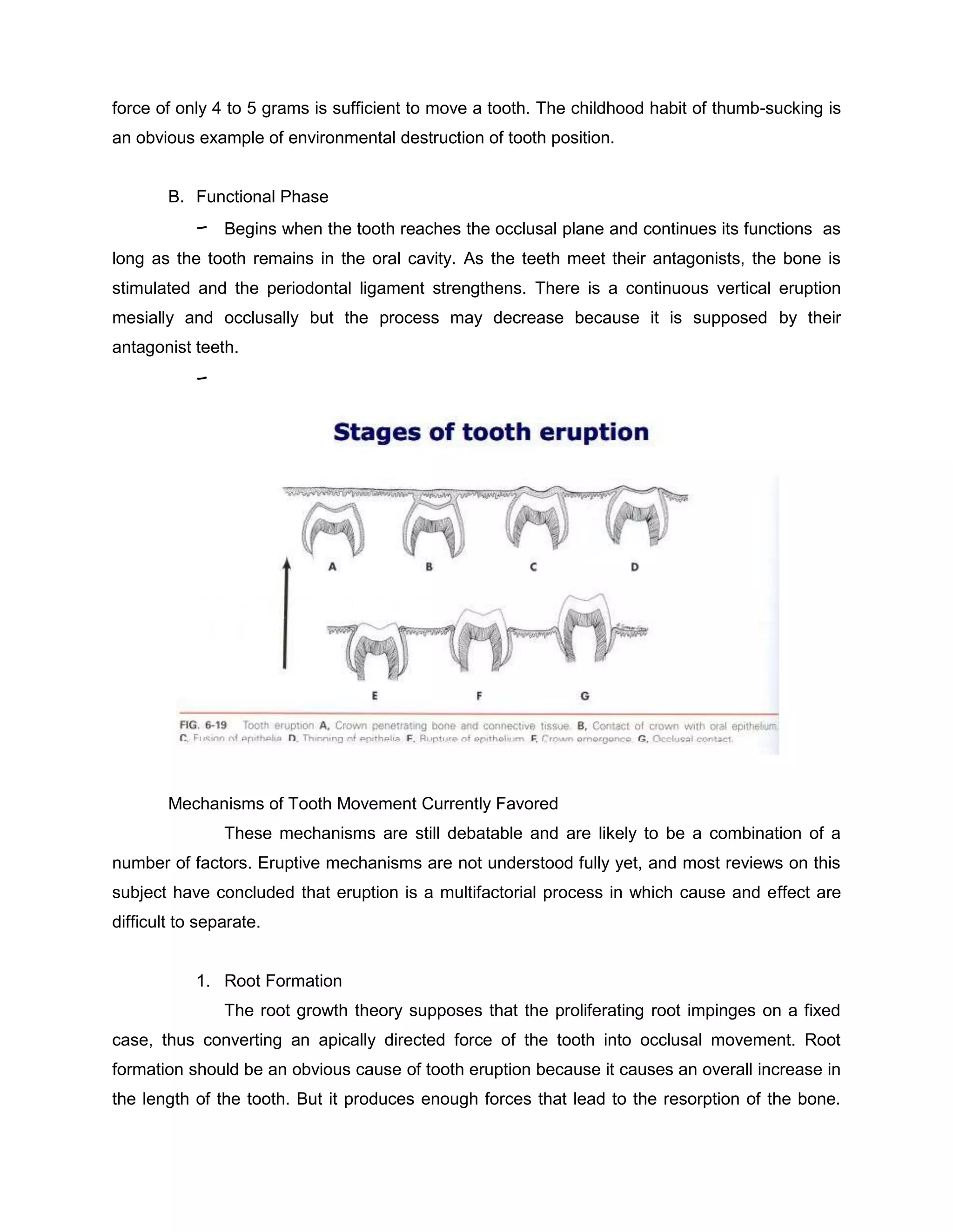 Physiology of tooth eruption | DOCX