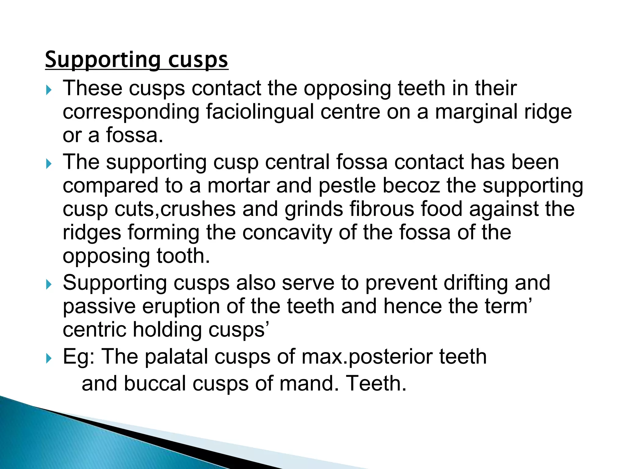 Physiology of tooth form | PPTX