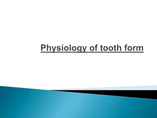 Physiology of tooth form | PPTX