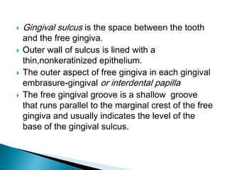 Physiology of tooth form | PPTX