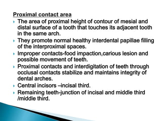 Physiology of tooth form | PPTX