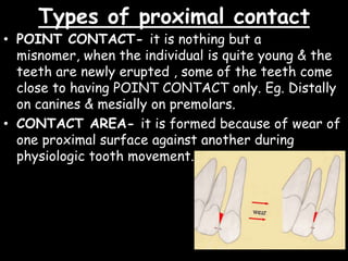 dental anatomy & physiology of permanent teeth | PPTX