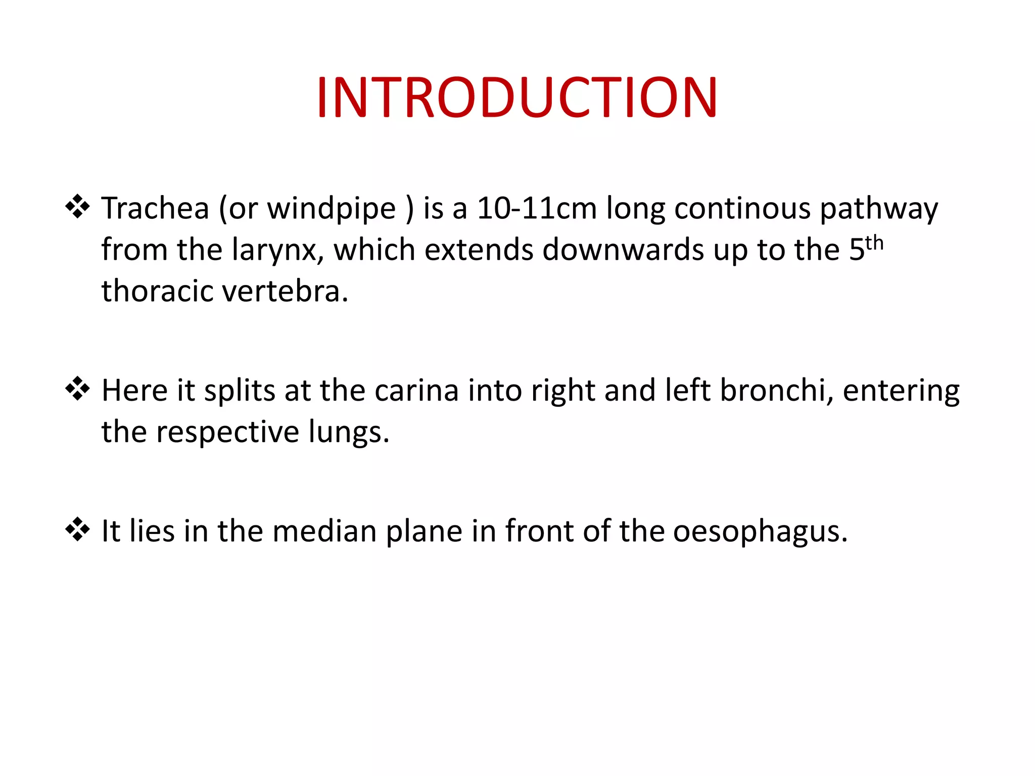 Physiology of trachea and lungs.pptx