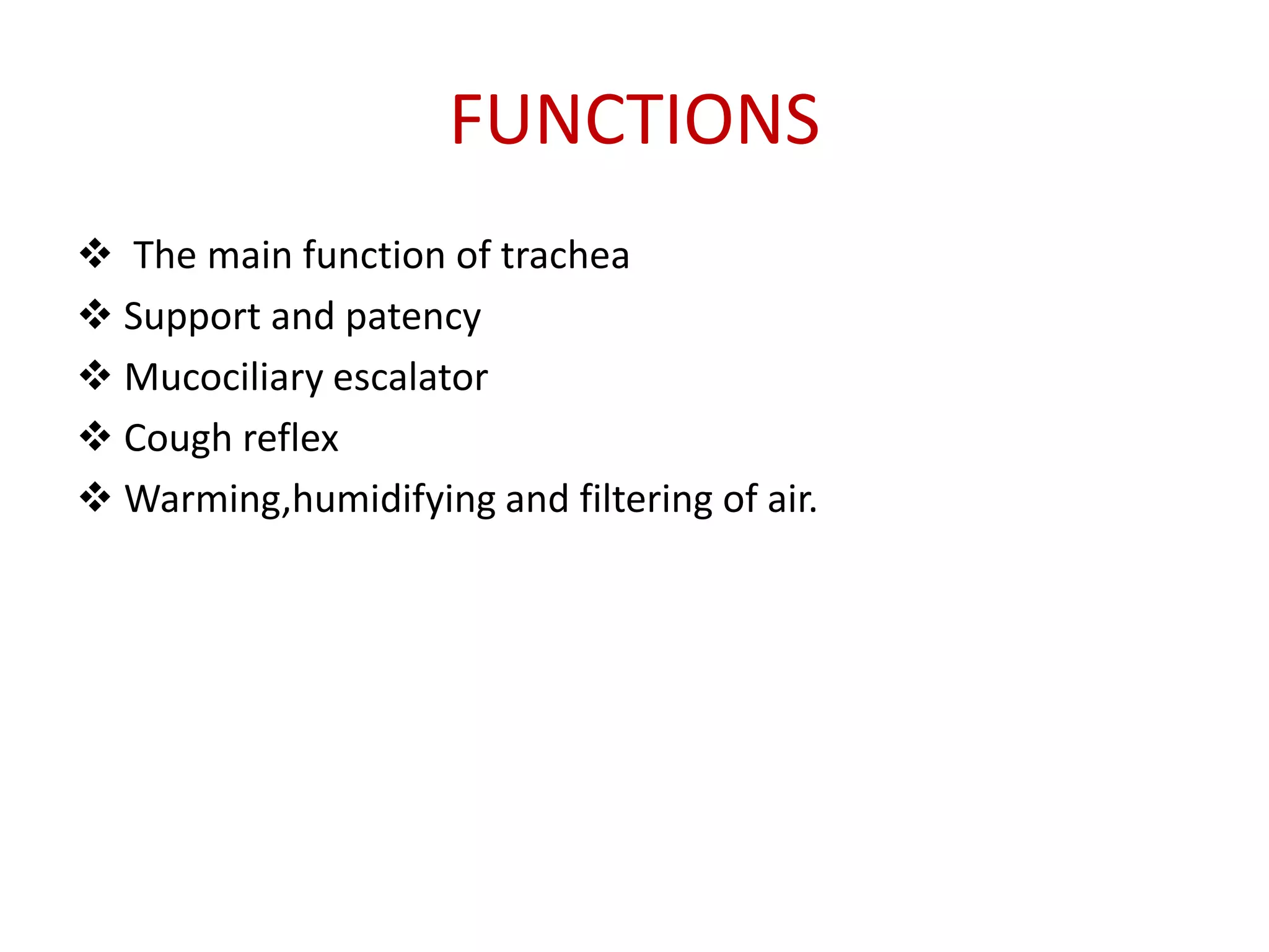 Physiology of trachea and lungs.pptx