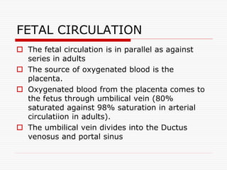 Physiology of transition | PDF