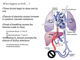 Physiology of transition period with regard to Cardiovascular System | PPT