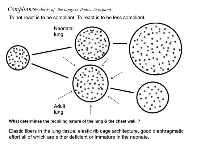 Physiology of transition period in a neonate (Respiratory System) | PPTX