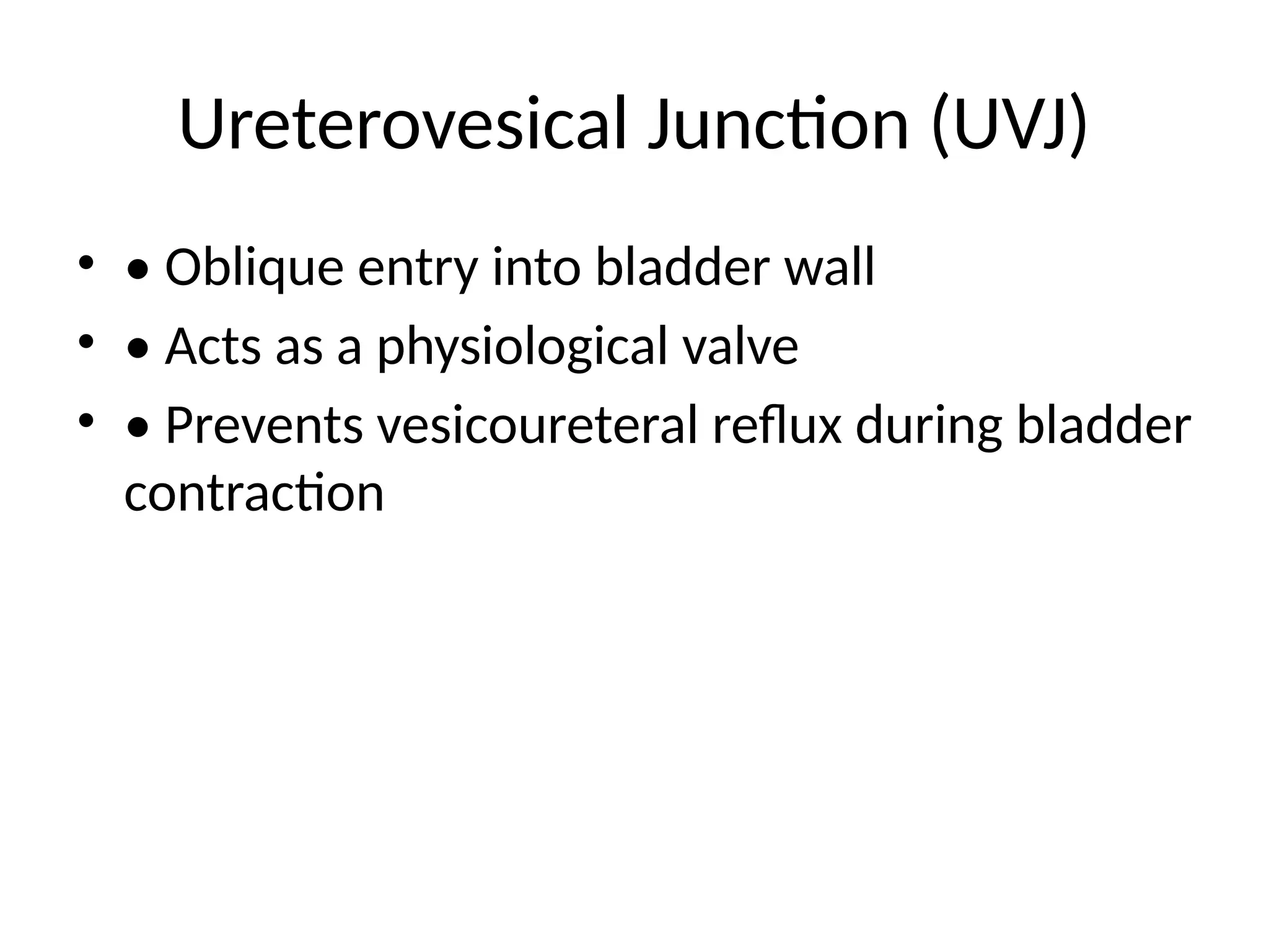 Physiology_of_Ureter_Presentation12.pptx