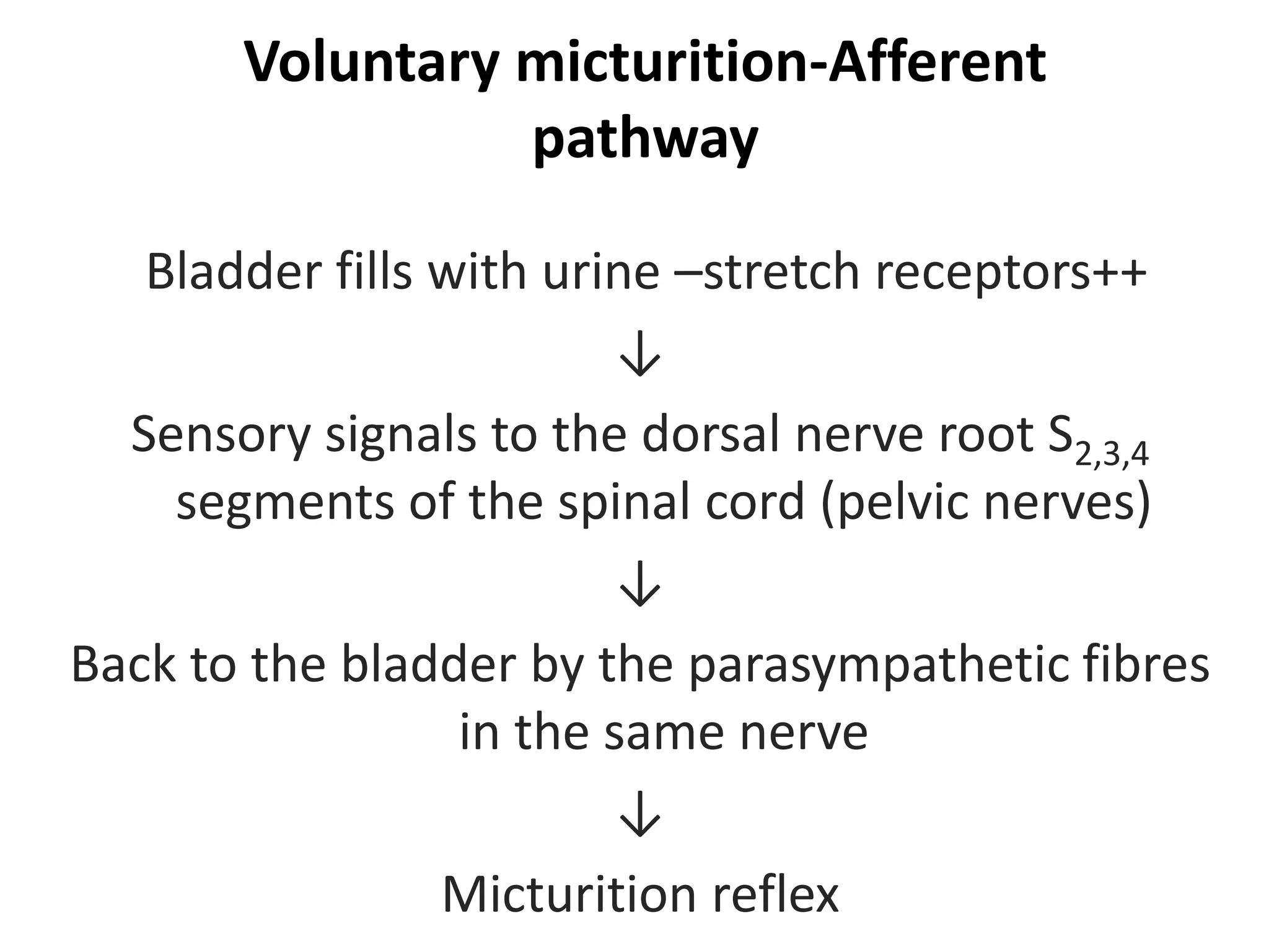 Physiology of urinary bladder.pptx