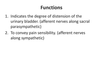 Physiology of urinary bladder.pptx