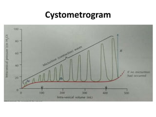 Physiology of urinary bladder.pptx