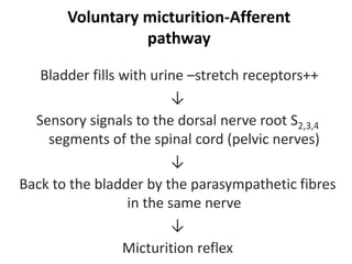 Physiology of urinary bladder.pptx