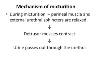 Physiology of urinary bladder.pptx
