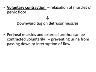 Physiology of urinary bladder.pptx