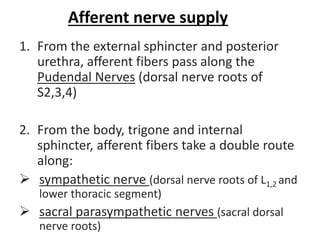 Physiology of urinary bladder.pptx