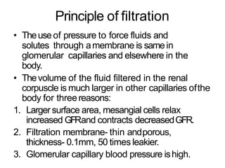 Physiology of Urine Formation | PPTX