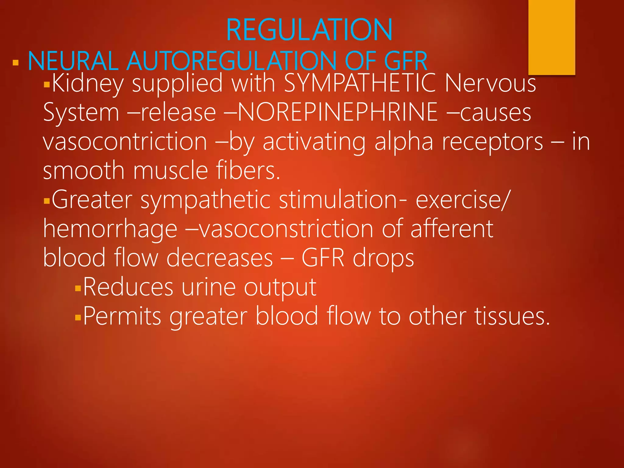 Physiology of urine formation | PPTX
