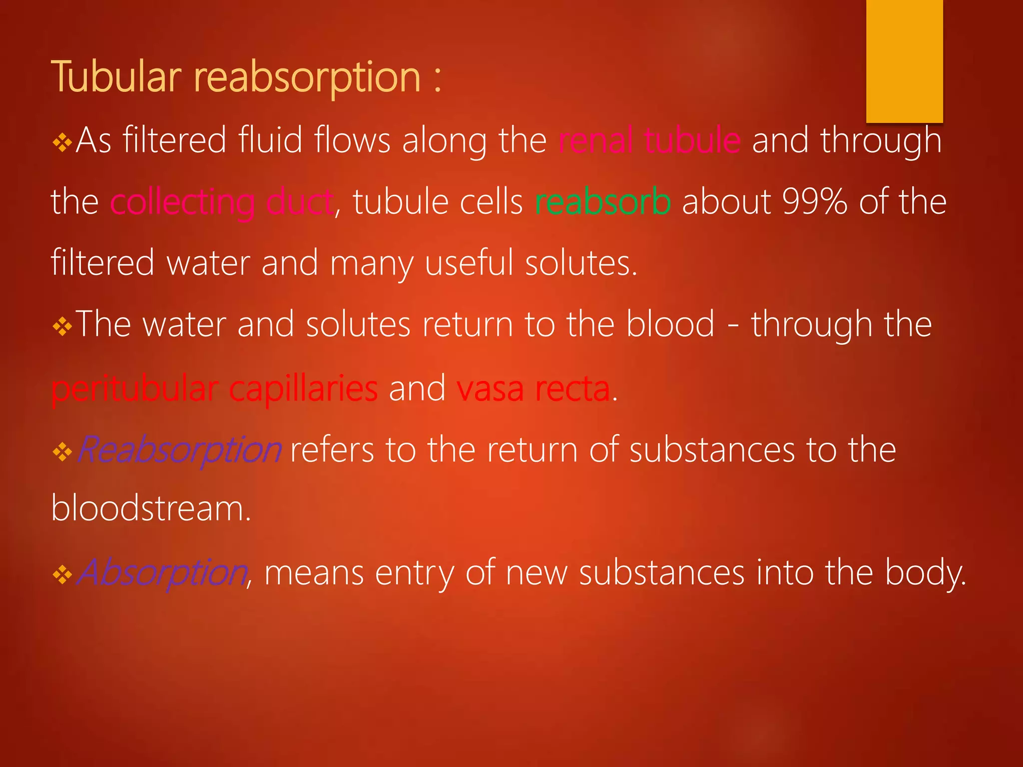 Physiology of urine formation | PPTX