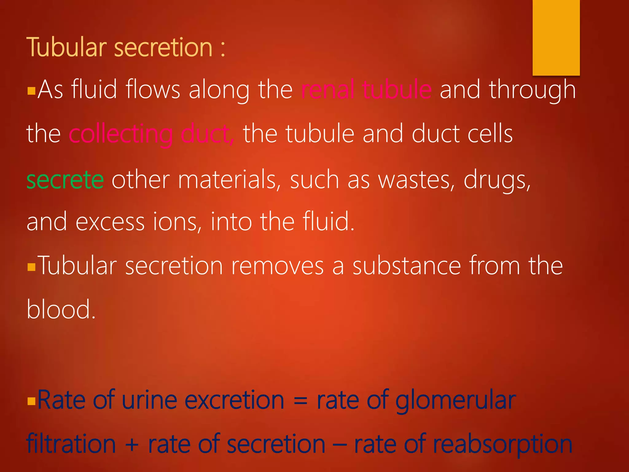Physiology of urine formation | PPTX