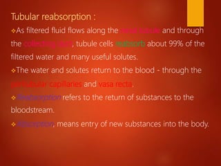 Physiology of urine formation | PPTX