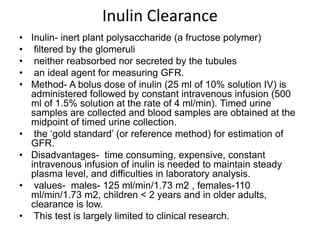 Physiology of urine formation and kidney function test swati mam | PPTX