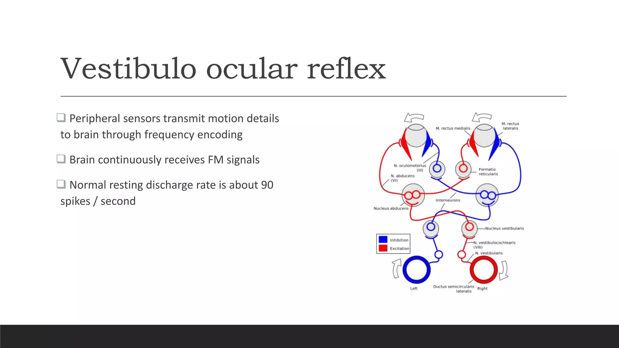 Physiology of vestibular system | PPTX
