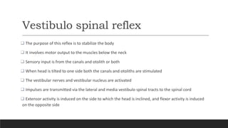 Physiology of vestibular system | PPTX