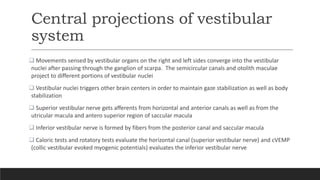 Physiology of vestibular system | PPTX