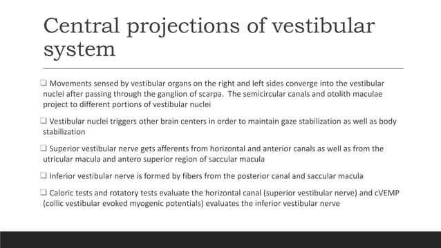 Physiology of vestibular system | PPTX | Brain and Nervous System ...