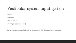 Physiology of vestibular system | PPTX | Brain and Nervous System ...