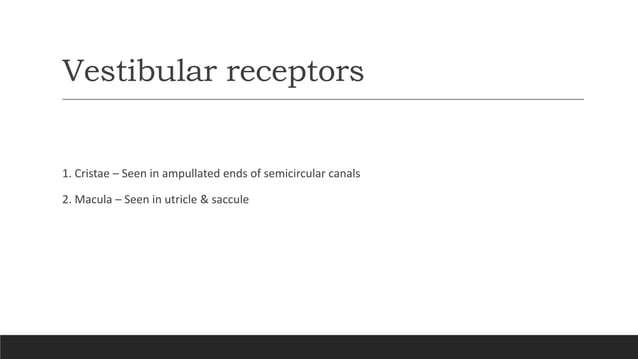 Physiology of vestibular system | PPTX | Brain and Nervous System ...
